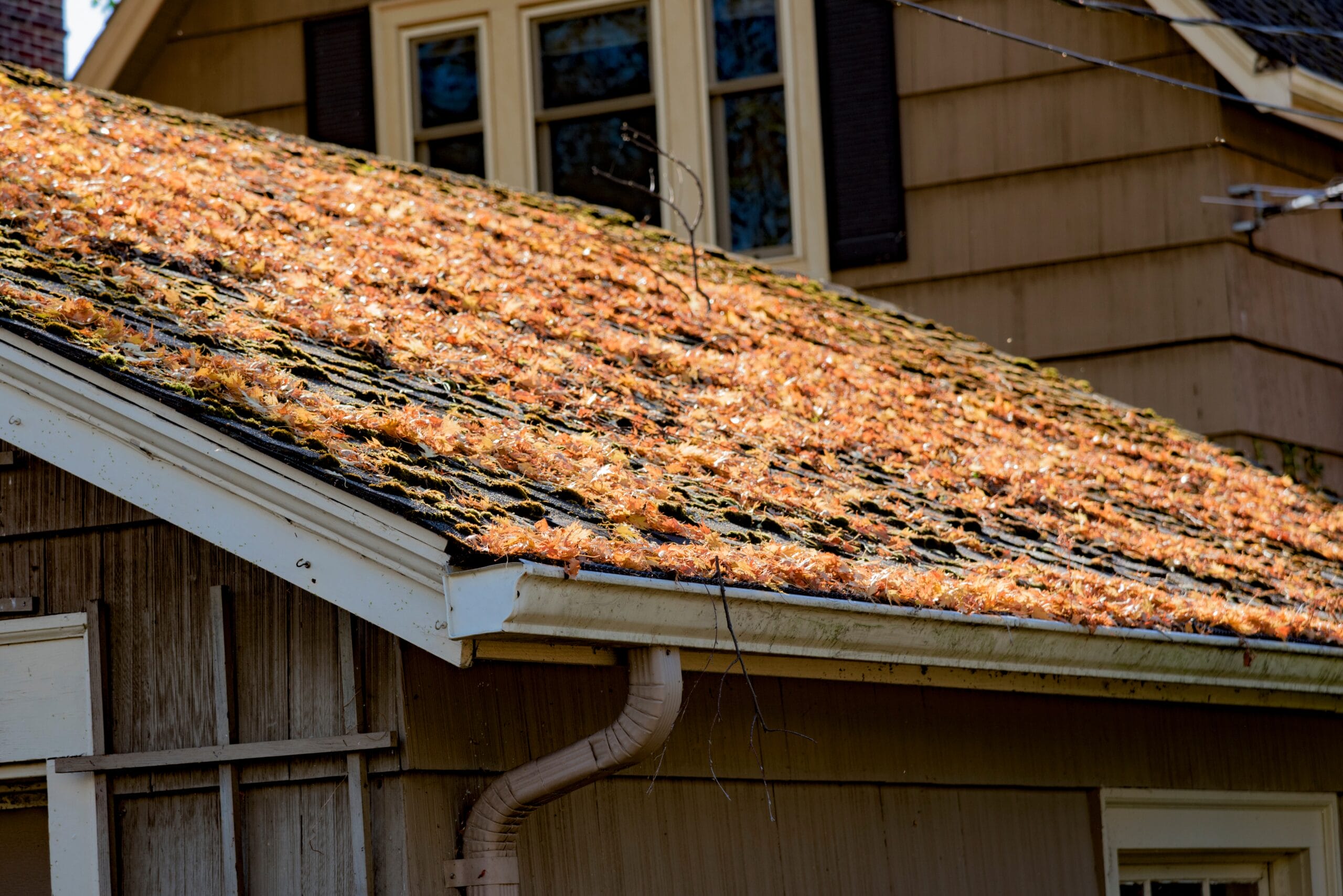 5 Common Spring Roof Problems in Maple Grove | Keystone Builders